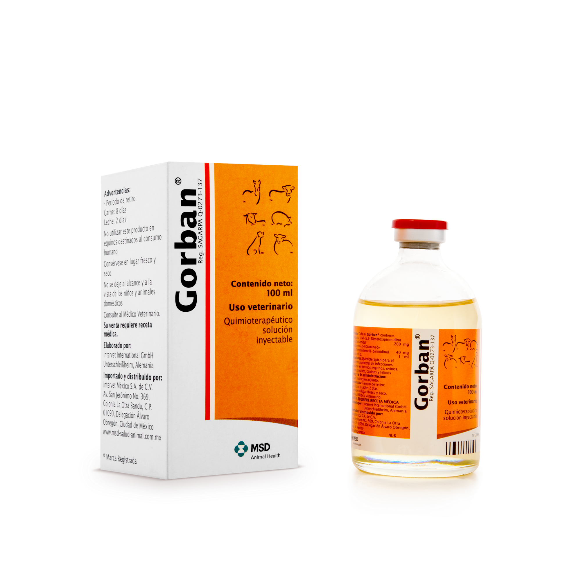 Club Ganadero | Antibióticos para bovinos