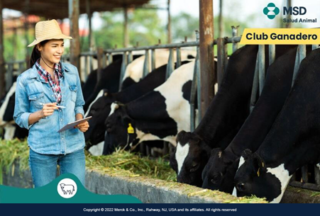 20 Datos interesantes sobre el ganado bovino - Club ganadero