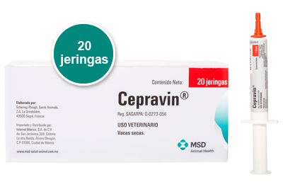 periodo seco en vacas lecheras y sus cuidados